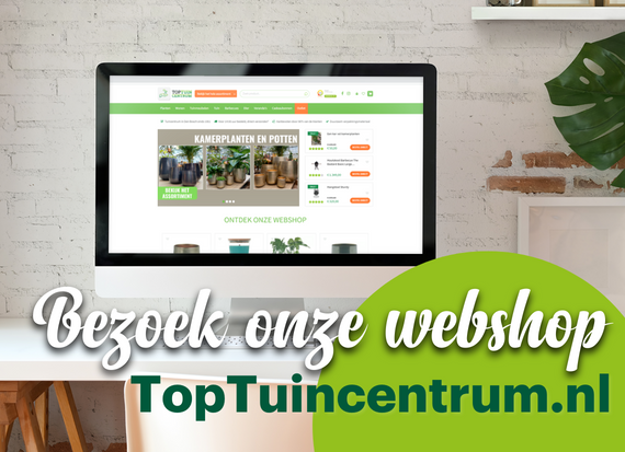 Tuincentrum GroenRijk te Den Bosch