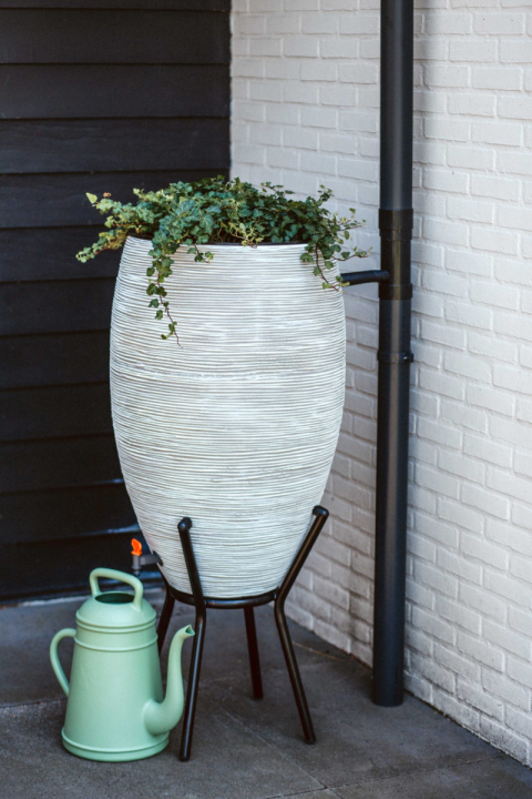 Regenton of waterton kopen? GroenRijk Den Bosch