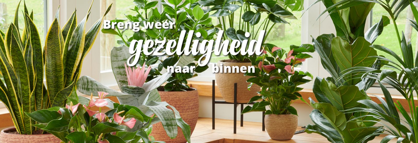 Tuincentrum GroenRijk te Den Bosch