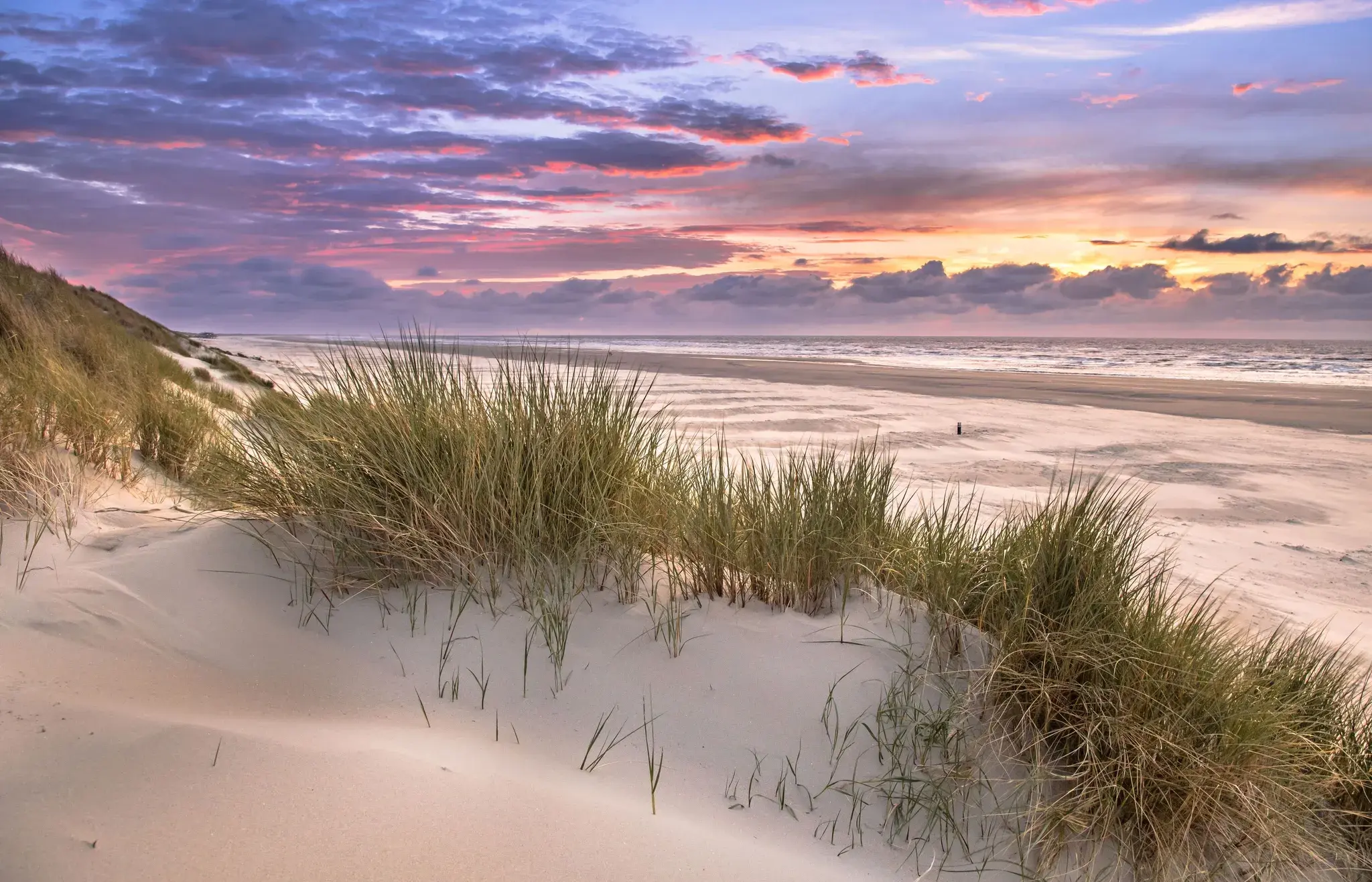 Alexsar Art tuindoek strand duin 210x140cm - Tuincentrum GroenRijk Den ...