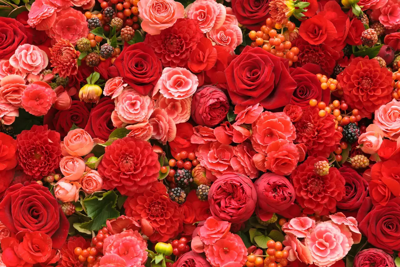 Alexsar Art tuinschilderij rode rozen 130x70cm - Tuincentrum GroenRijk ...