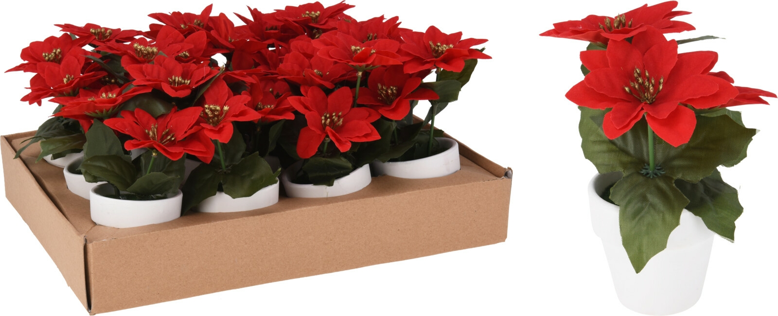 Kerstster 16cm rood - Tuincentrum GroenRijk Den Bosch