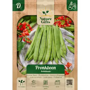 Pronkboon roodbloeiende 6st - Tuincentrum GroenRijk Den Bosch